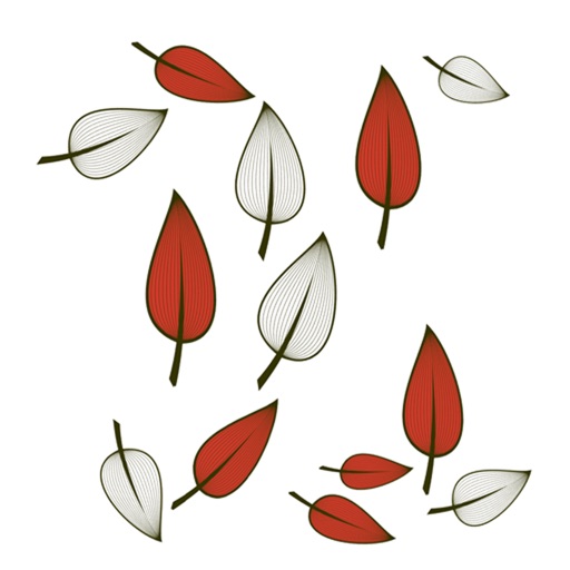 VisualCode Reader by Jong Moon Yang