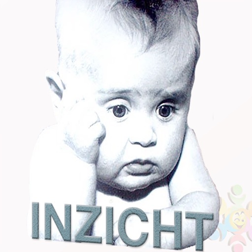 Inzicht Kaarten by Gerard de Rijck