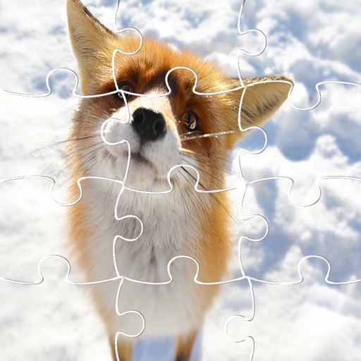 Puzzle Fox Jigsaw Games For Kids by Piyawan Chamnarnchanan