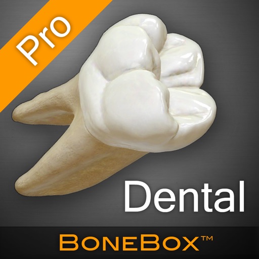 BoneBox™ - Dental Pro for PC - Windows 7,8,10,11