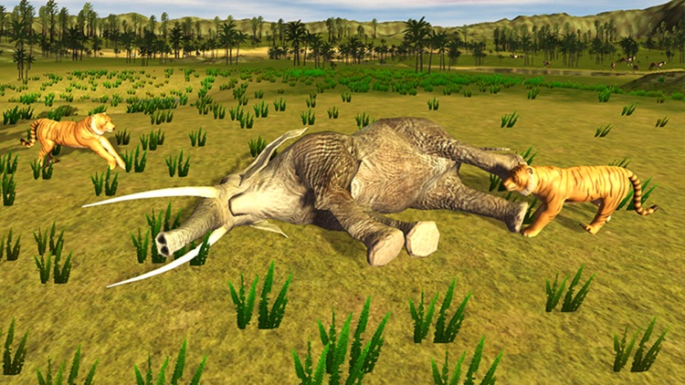 Tiger Simulator & Safari Jungle Animal by Atif Mahmood