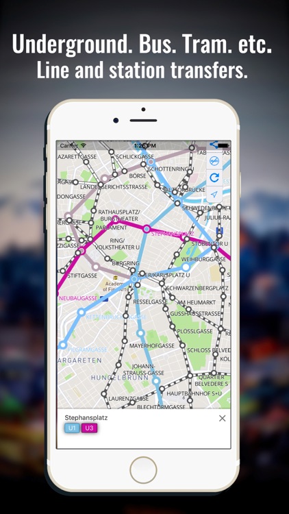 City Transport Map Paphos by Khrystyna Skliarova