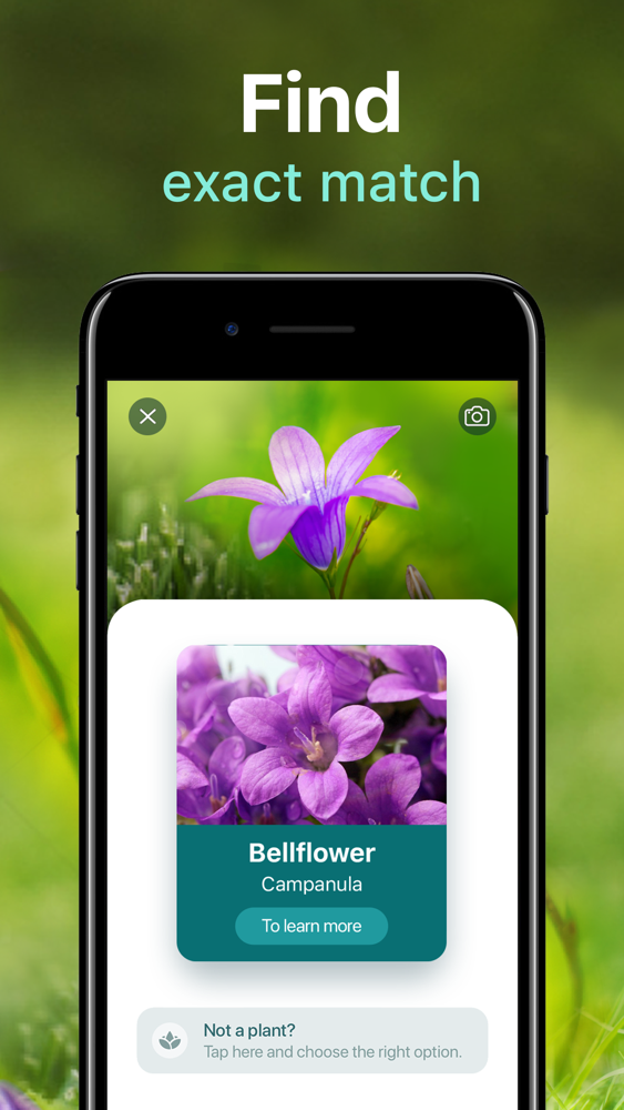 NatureID Plant Identification App For IPhone Free Download NatureID