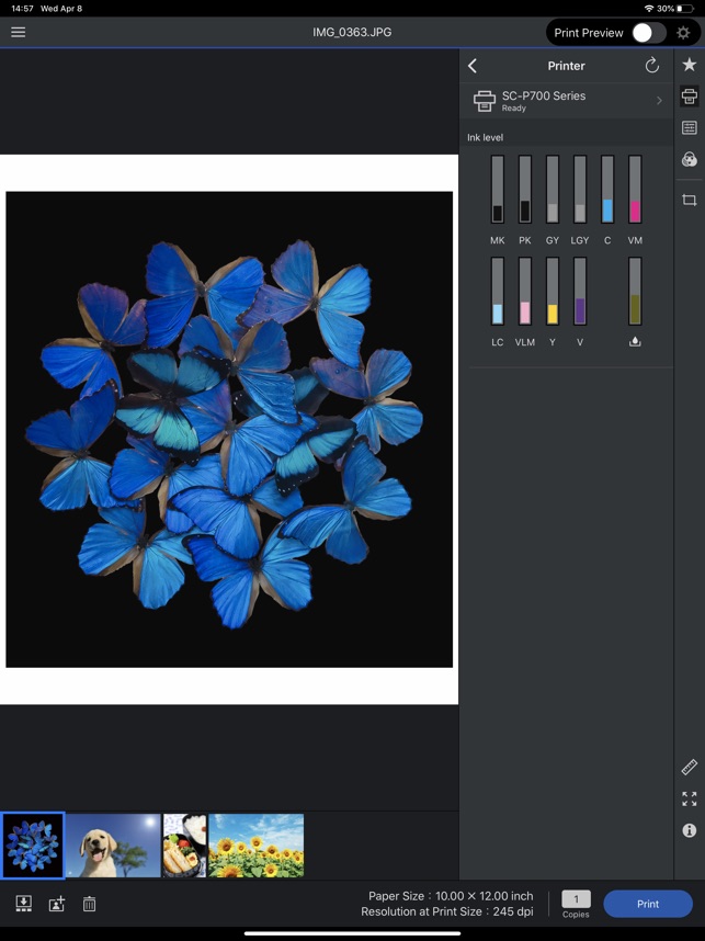  Updated Epson Print Layout IPhone iPad App Not Working down White 