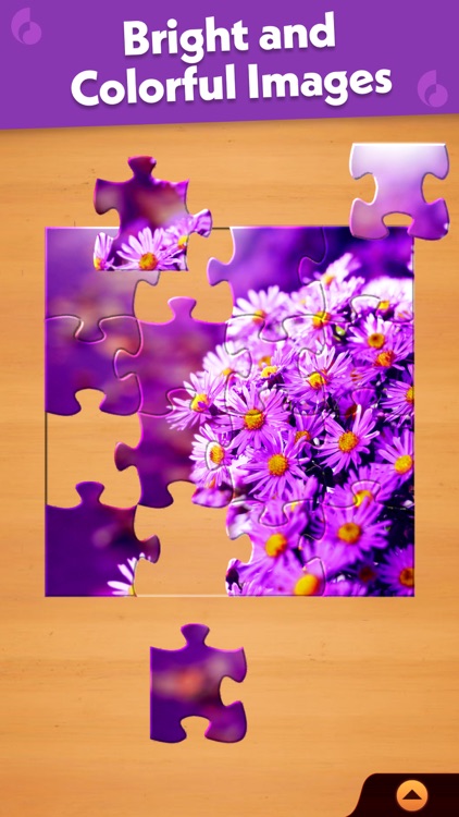 Jigsaw Puzzle Pro by Critical Hit Software, LLC
