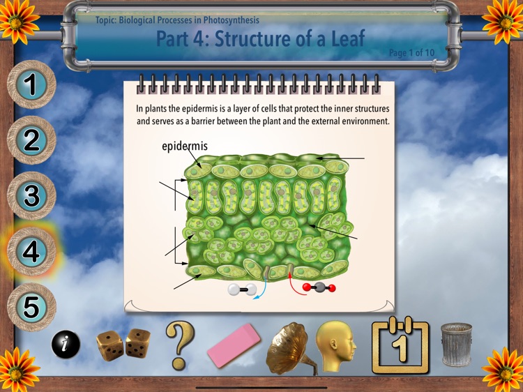 Interactive Photosynthesis by Ventura Educational Systems