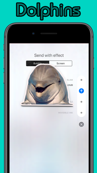 Cute Dolphins PC 버전: 무료 다운로드 - Windows 10,8,7 [한국어 앱]