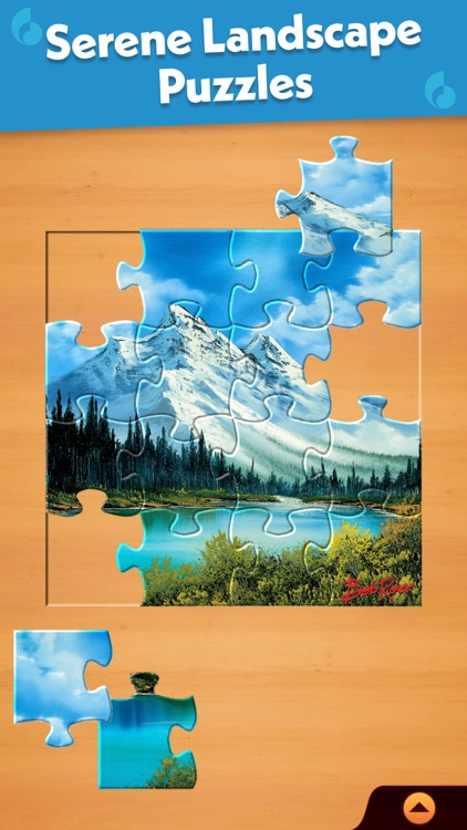 Jigsaw Puzzle Pro by Critical Hit Software, LLC
