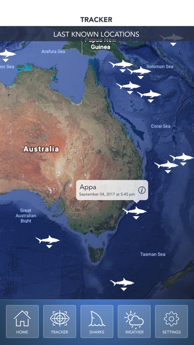 Shark Locator 2018 for iPhone - APP DOWNLOAD