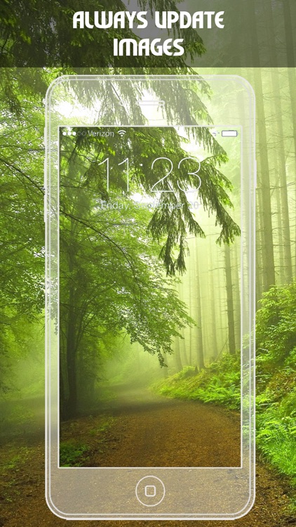 Forest HD Wallpapers by Desy Ayu