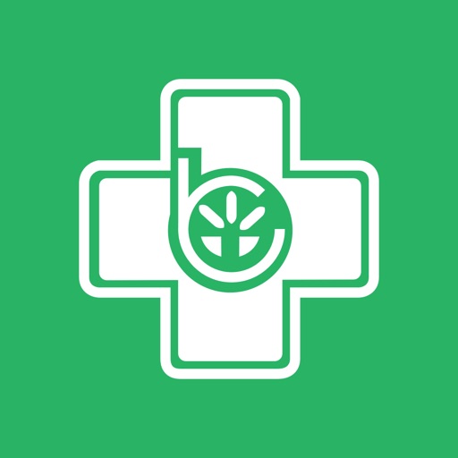 RSPI Mobile by PT Binara Guna Mediktama