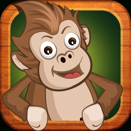 Slam Bad Monkey by Aruna Agrawal