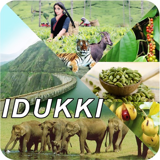 Idukki by Vcode Infotech India Pvt Ltd