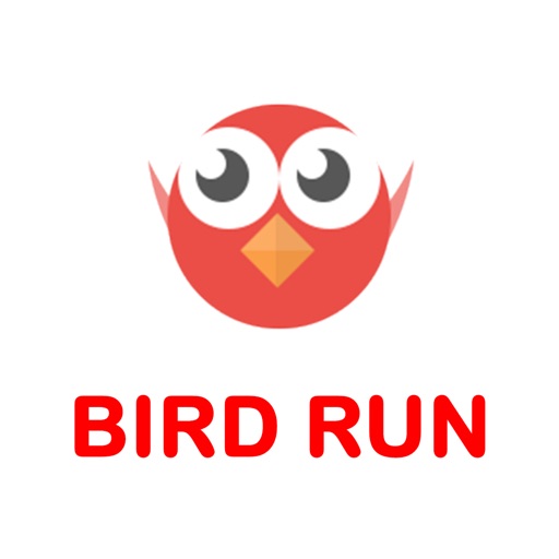 Bird Run Game by Anh Kha Ho Nguyen