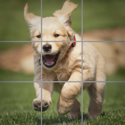 Puzzle Shifting Tiles by NISHI SAHLOT