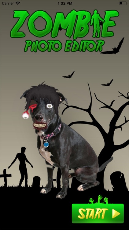 Zombie Dress Up Photo Editor by OCUS Corporation