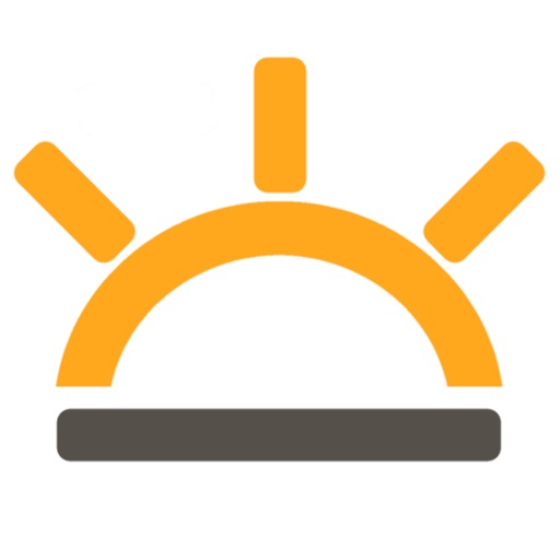 Enecsys by Rene Sandmann