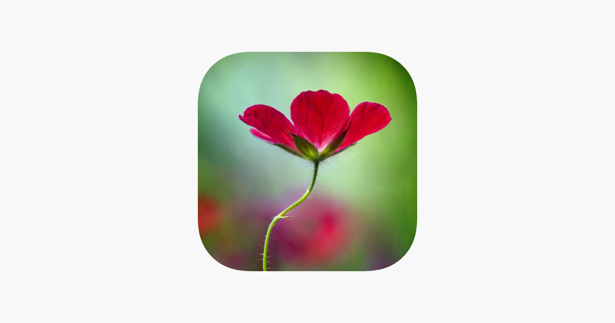 ‎Censor Blur Photo Effect - DSLR on the App Store