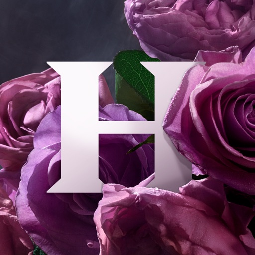 Hello Student by Hello Student