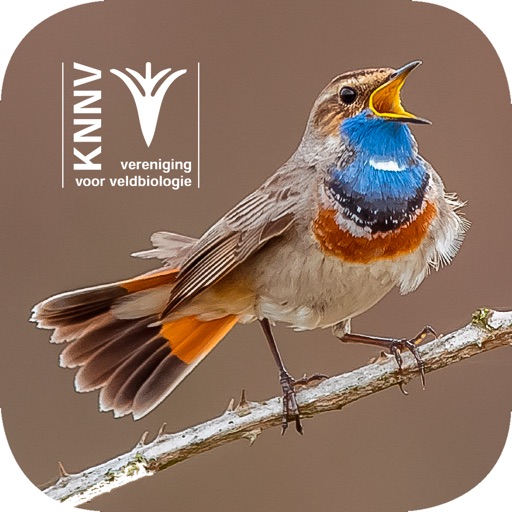 Vogelzang by BirdingApps