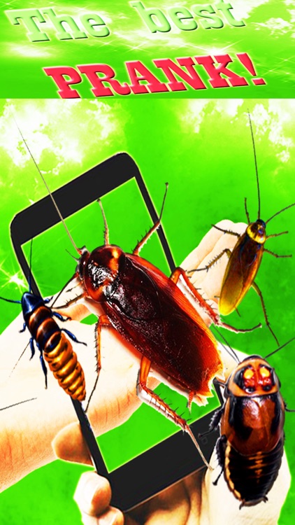 Cockroach On Hand Mega Prank by ALEXANDR GUSEV