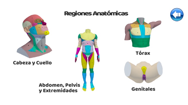 Regiones Anatómicas RA by UTPL