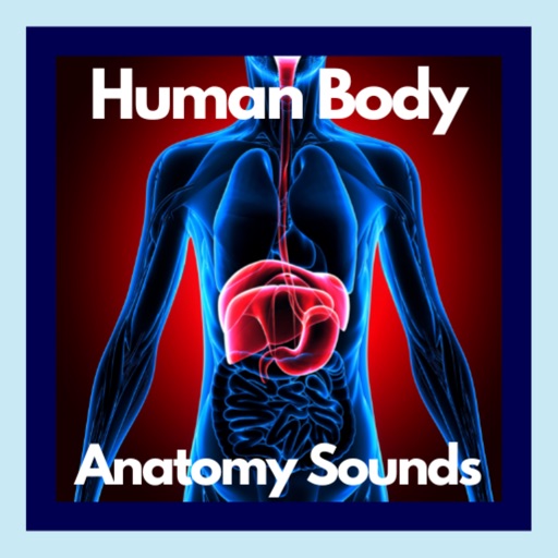 Human Body Anatomy Sounds by TANER PERMAN