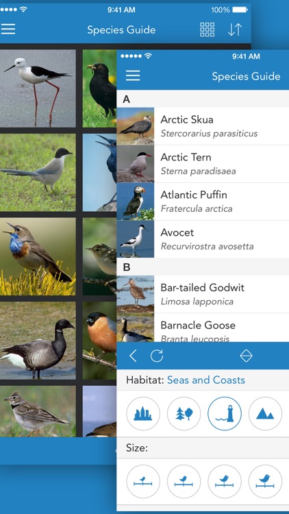 The Best Bird Identification Apps