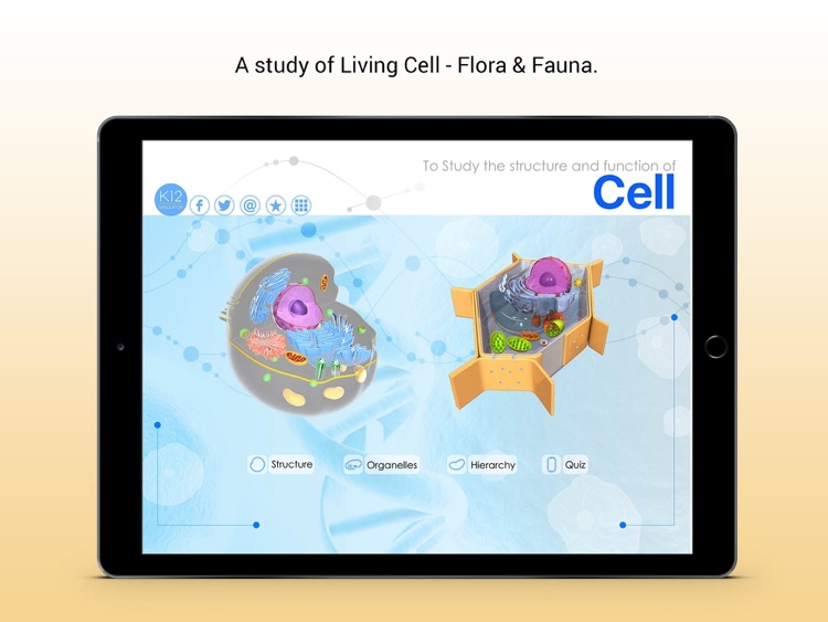 The Living Cell by www.ajaxmediatech.com