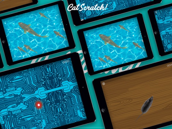 Cat Scratch - Game | Apps | 148Apps