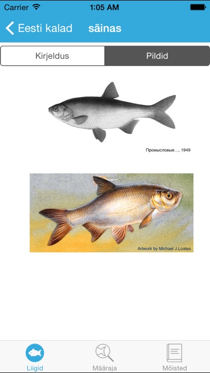 Eesti kalad by Mine avasta/Walk & Learn