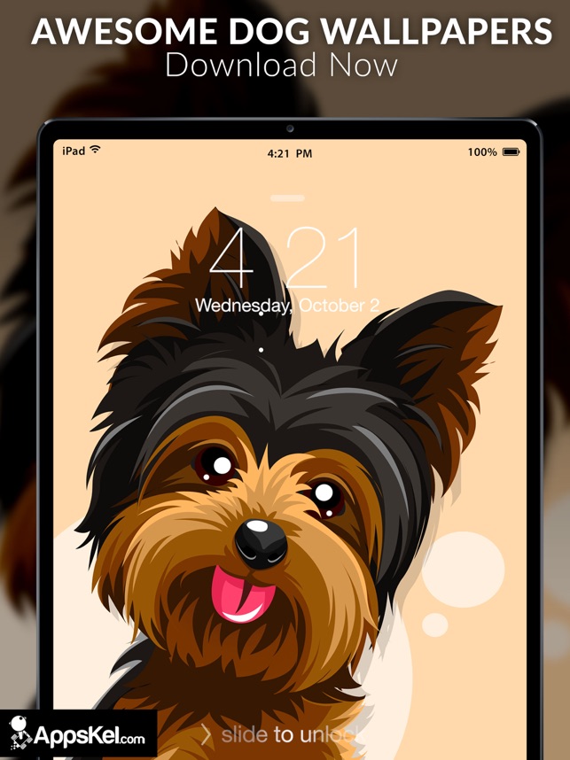 Doge Wallpaper Ipad