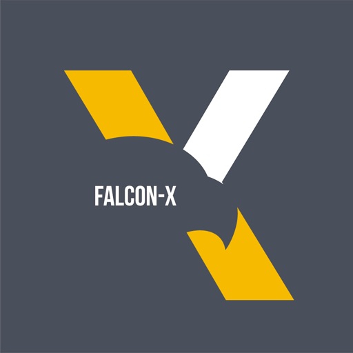 Falcon-X by Khalifa Al Mannai