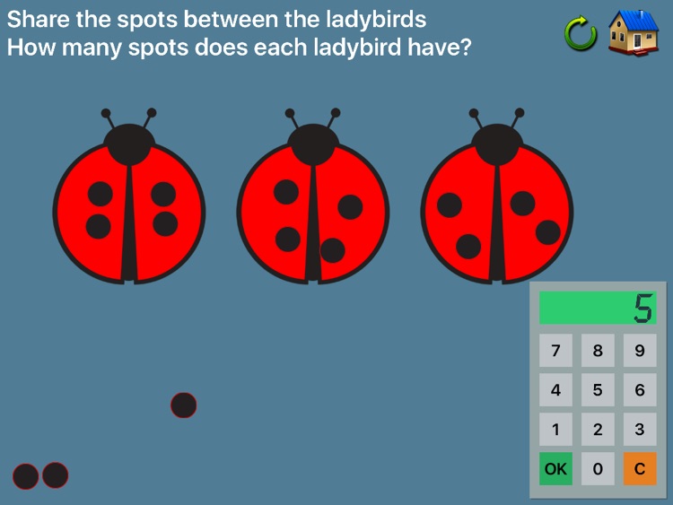 Ladybird Maths by Aleesha Kondys