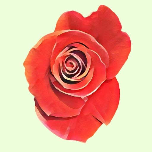 Rascal Roses by Mermaids and Unicorn LLC