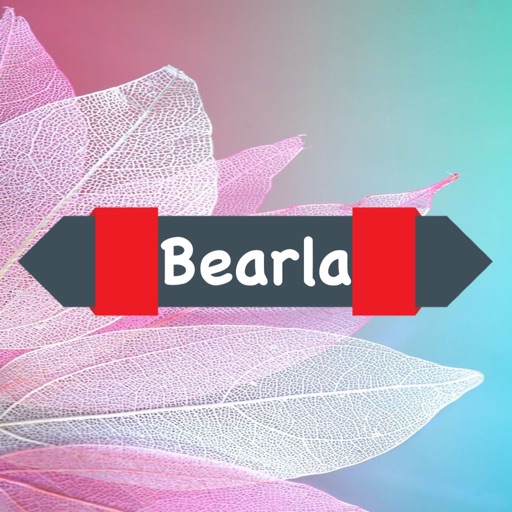 Bearla by 宝萍 邓