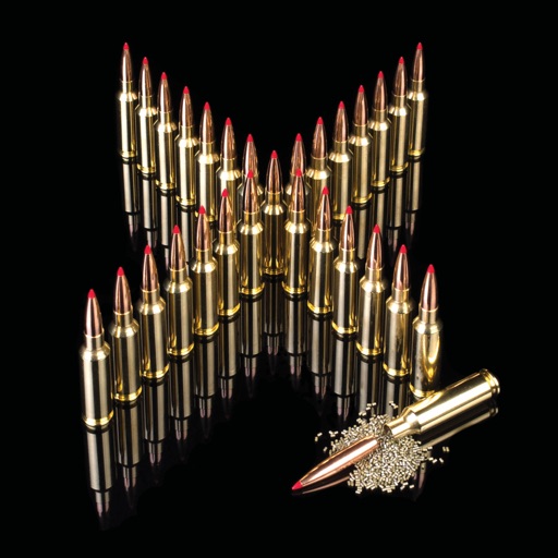 Hornady Reloading Guide by Hornady