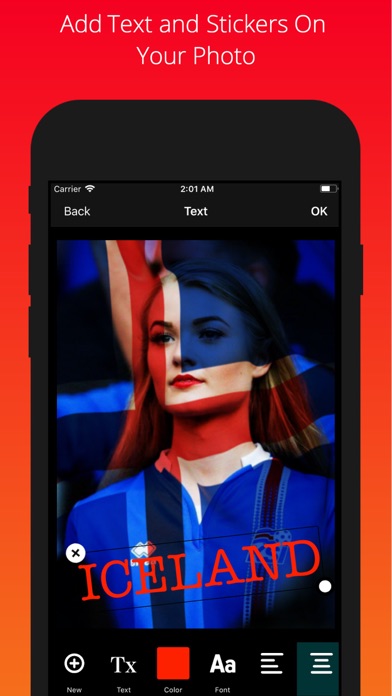 FlagsEditor for iPhone - APP DOWNLOAD