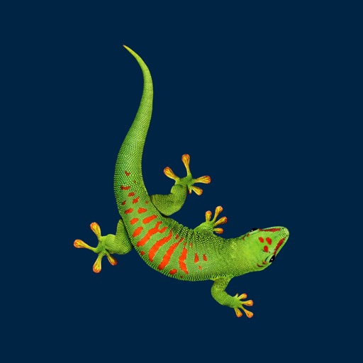 Bostik Pro for PC - Windows 7,8,10,11