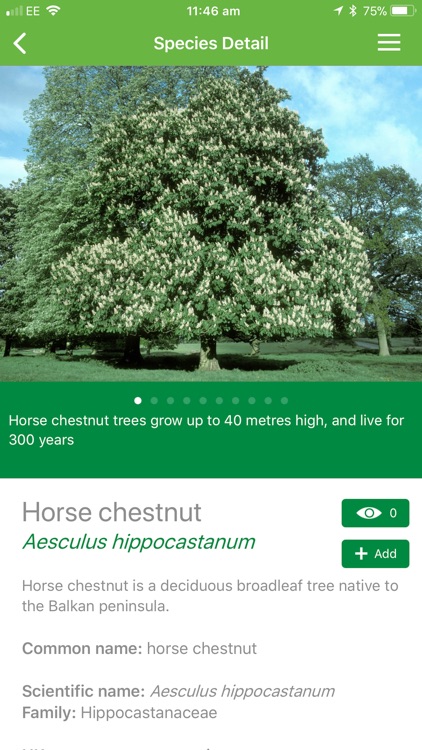 British tree identification by Woodland Trust