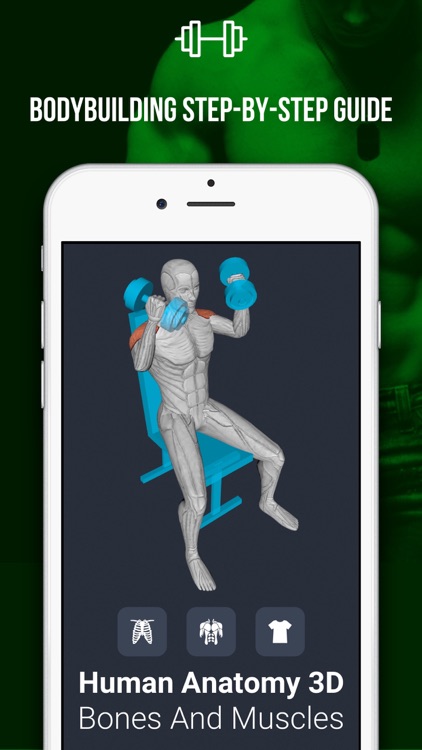 Human Anatomy 3D: Bodybuilding by Try Sports Now, LLC