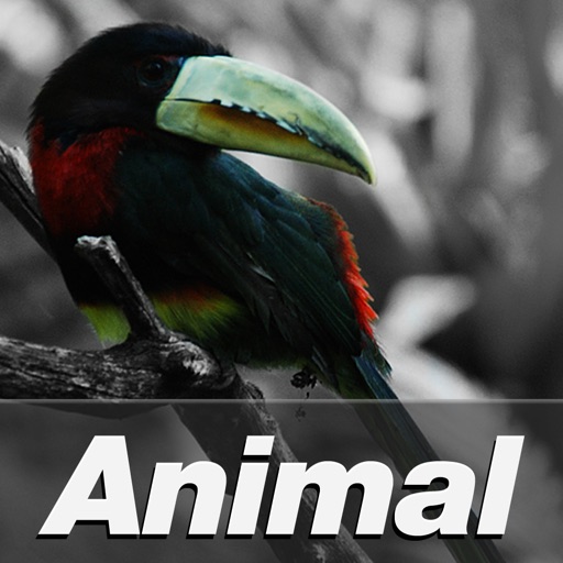 POA S601S Animal by JC Globeway Inc