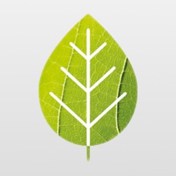 Scolin by De Okergroep