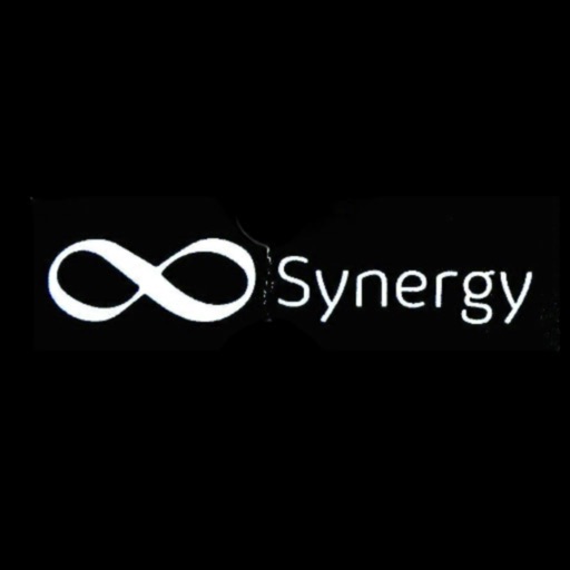 Synergy Ventures by MAURICIO HERNANDEZ