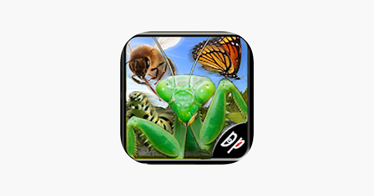 ‎Insect Race on the App Store