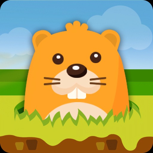 Kids Catch : Animals by Jung mingil