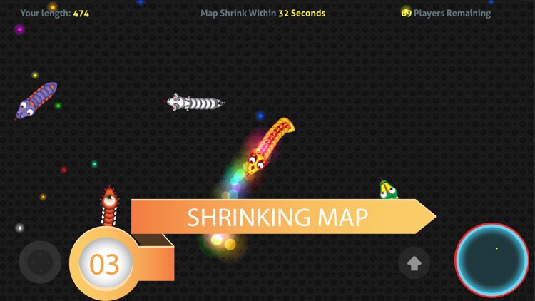 Battle Snakes Arena by Kory Pearman