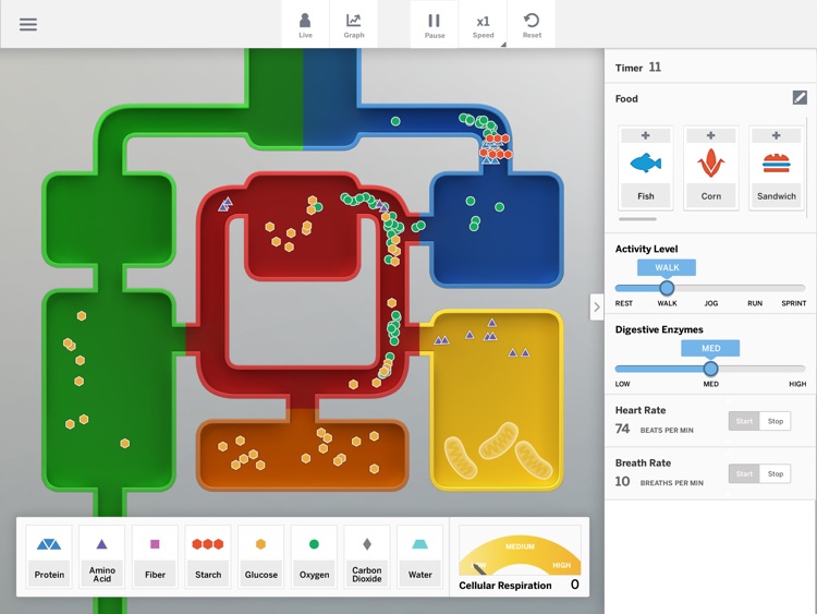 Metabolism Sim by Amplify Education, Inc.