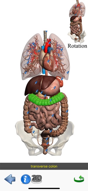 ‎Visual Anatomy Lite on the App Store