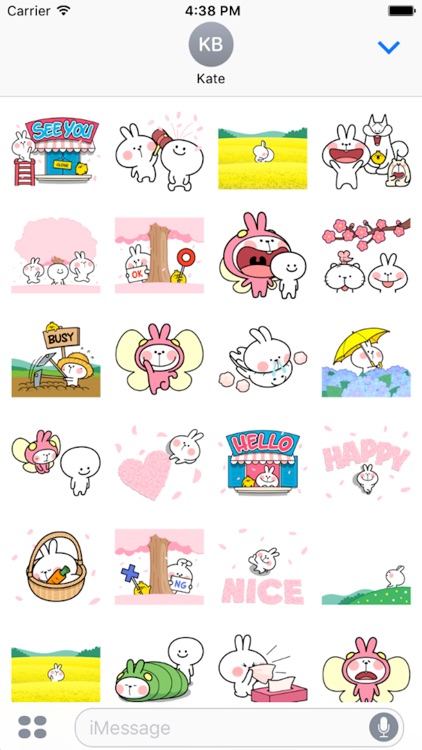 Spoiled Rabbit Spring by Binh Pham